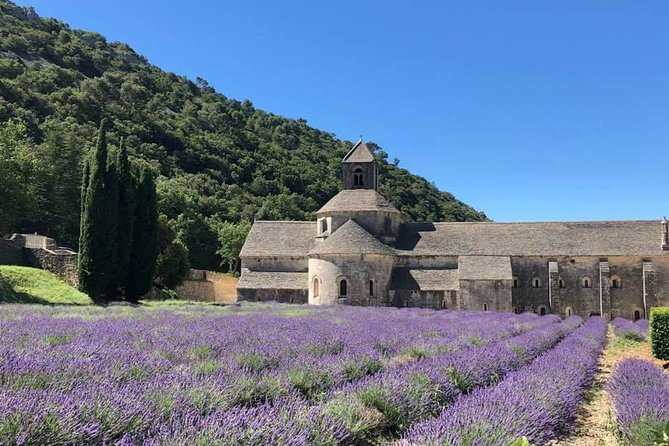 The Lavender tour from marseille or aix en provence - Authentic Experiences and Authentic Guides