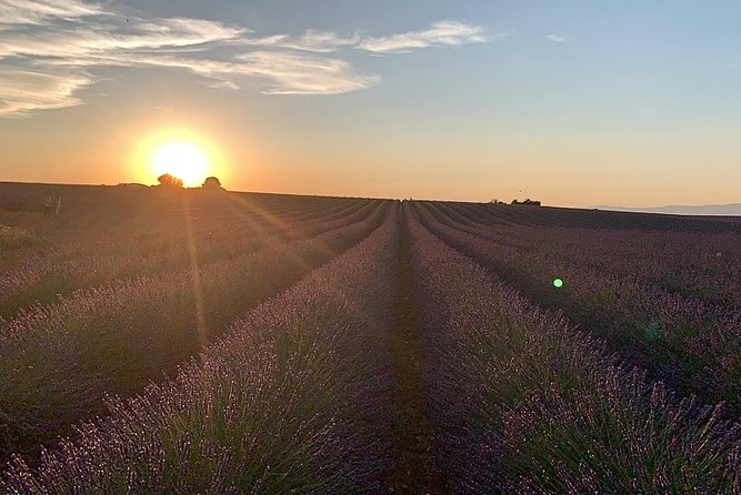 The Lavender tour from marseille or aix en provence - Why This Tour Works Well