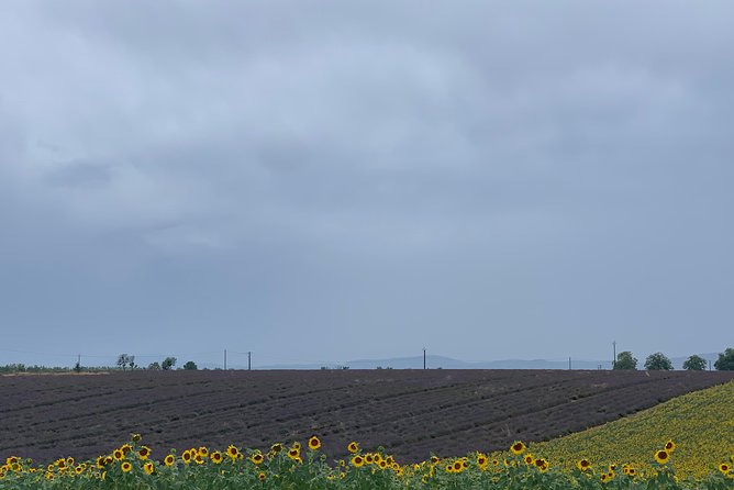 The Lavender tour from marseille or aix en provence - FAQ
