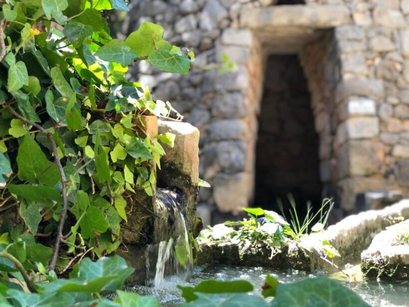 The Limestone Heritage Park and Gardens (Entry Ticket) - An Introduction to the Experience