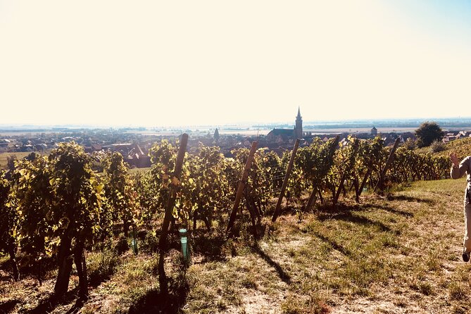 The Little Alsatian Luxury Tour Local Private Friendly Driver - Wine-Tasting Experiences