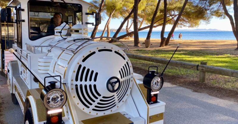 The Little Train of La Londe-les-Maures - Experience Details