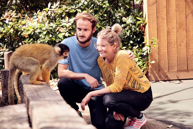 The London Pass®: 95+ Things To Do - Includes Tower Bridge - The London Pass® Highlights