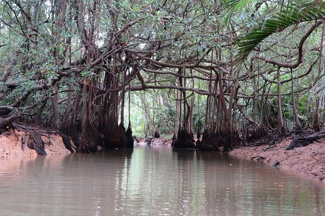 The Lost Zone & Takuapa Old Town  Private Guided Tour - Takuapa Old Town – A Glimpse into History