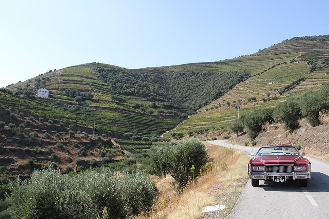 The Luxury Douro Tour - Unique Features and Benefits