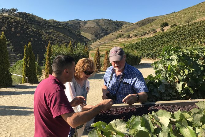The Luxury Douro Tour - Customer Reviews and Ratings