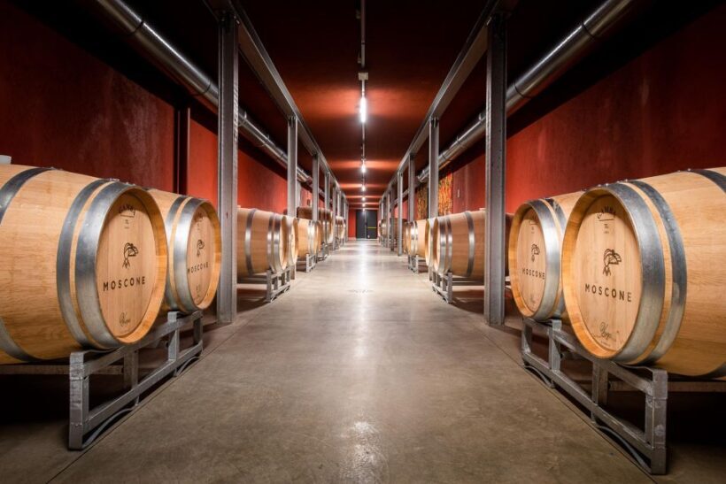 The Madama: Wine tasting in La Morra - Key Points