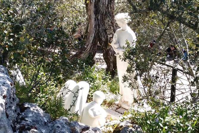 The Magnetism of Fatima - The Apparition of the Holy Lady