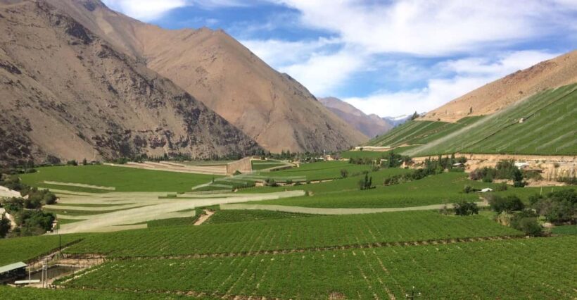 The Magnificient Elqui Valley Grand Tour - Who Would Love This Tour?