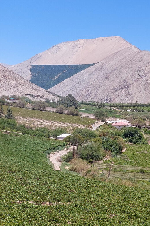 The Magnificient Elqui Valley Grand Tour - Final Thoughts on Value and Experience