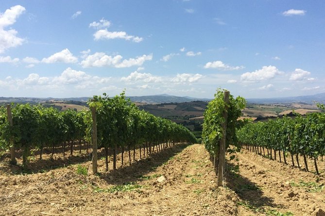 The Maremma - Final Thoughts: Is This Tour Right for You?