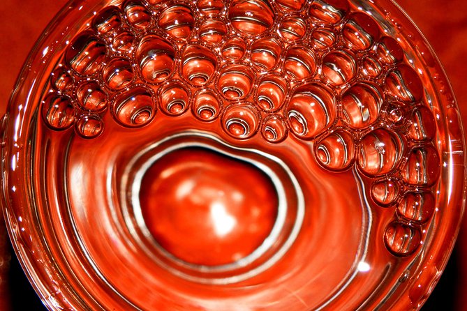 The Medronho Experience! - Price and Value Analysis