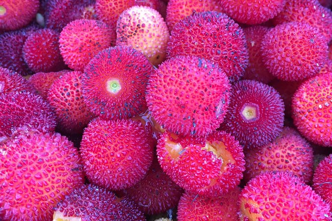 The Medronho Experience! - FAQs