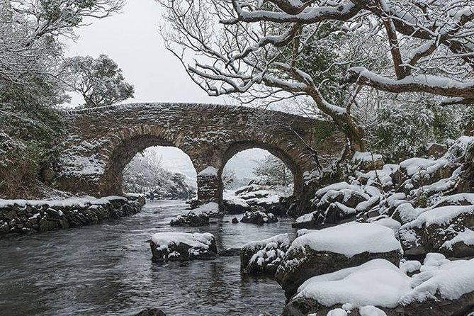 The Meeting of the Waters, Dinis Island, Lakes of Killarney (Minimum 6 People) - Explore the Tranquil Lough Leane