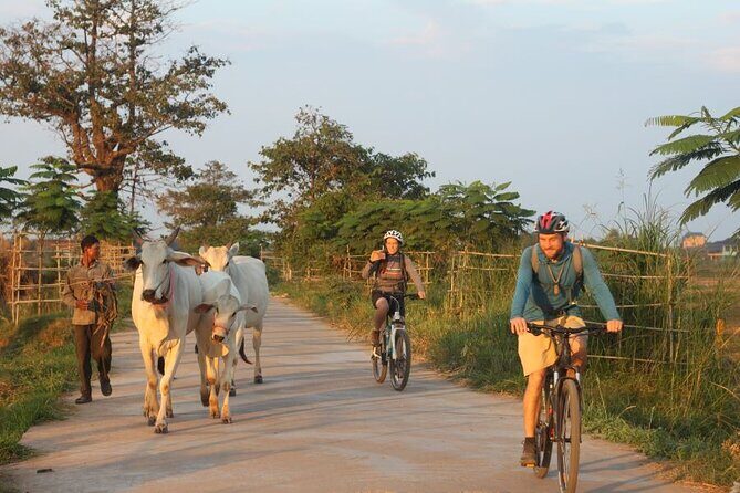 The Mekong Island Biking Tour and Lunch with farmers - Practical Details and Value