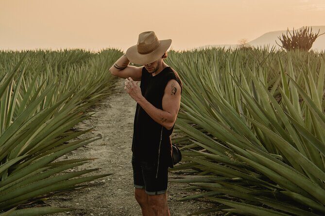 The Mezcal Journey - Introducing The Mezcal Journey: A Deep Dive into Oaxaca’s Spirit