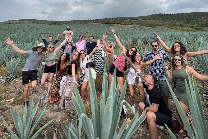 The Mezcal Journey - Key Points
