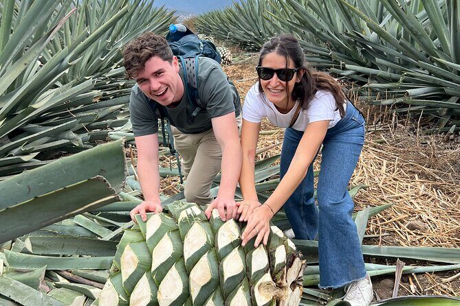The Mezcal Journey - Who Should Consider This Tour?