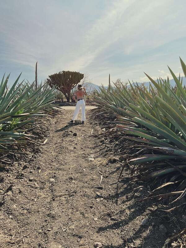 The Mezcal Journey - The Value of the Experience