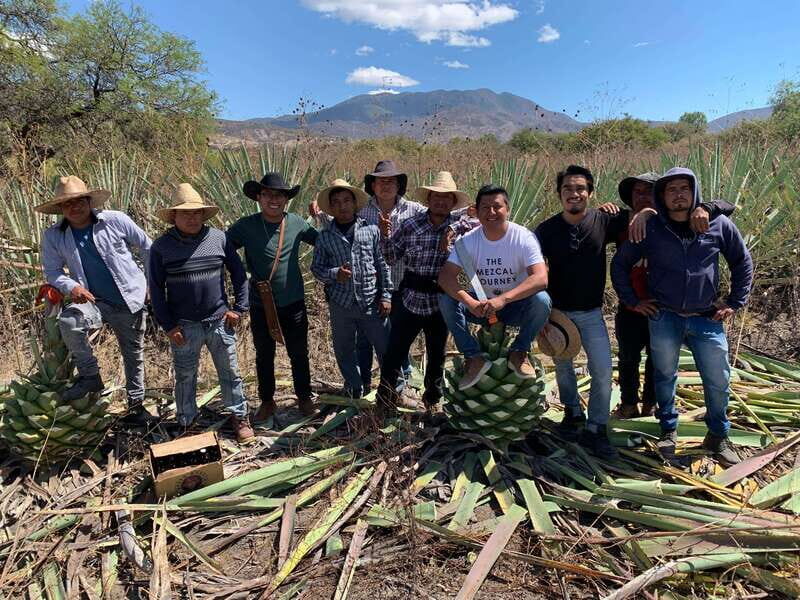 The Mezcal Journey - Who Should Consider This Tour?