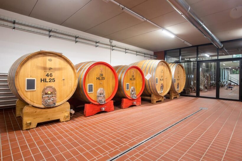 The MONSU: Winetasting in La Morra. - Practical Details: Booking, Accessibility, and Timing
