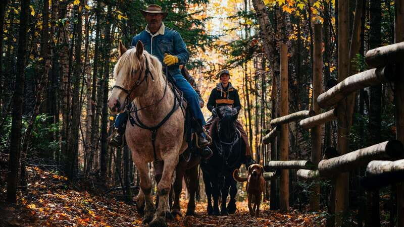 The Montagnarde: Guided horseback ride on mountain trails. - Pricing and value