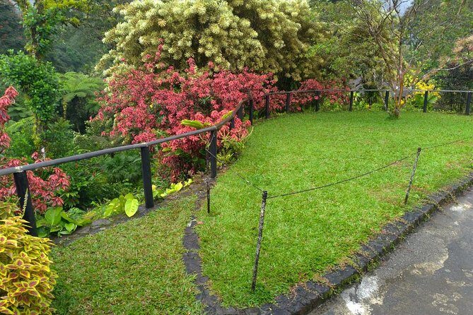 The Montreal Garden Tour with Fraser's Taxi and Tours - What’s Included and What’s Not