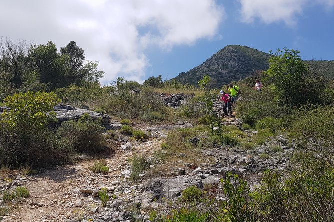 The morning Hike - The Value of Guided Nature Walks