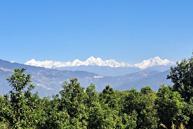 The Most Beautiful 1 Day Experience in Kathmandu Nepal - Who Is This Tour Best For?