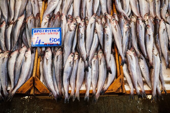 The Moveable Sunday Feast - Culinary Delights: A Taste of Greek Tradition