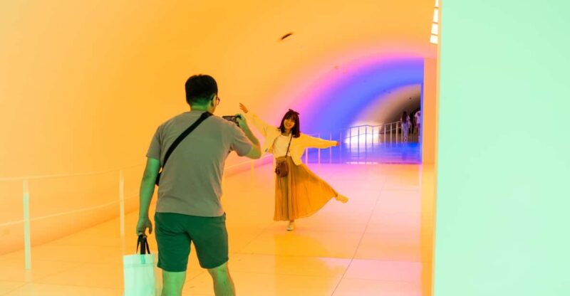 The Museum of Fine Arts, Houston Entry Ticket - Who Should Consider This Tour?