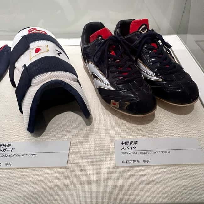 The Museum of Hanshin Koshien Stadium Entry Ticket - Who Will Love This Experience?