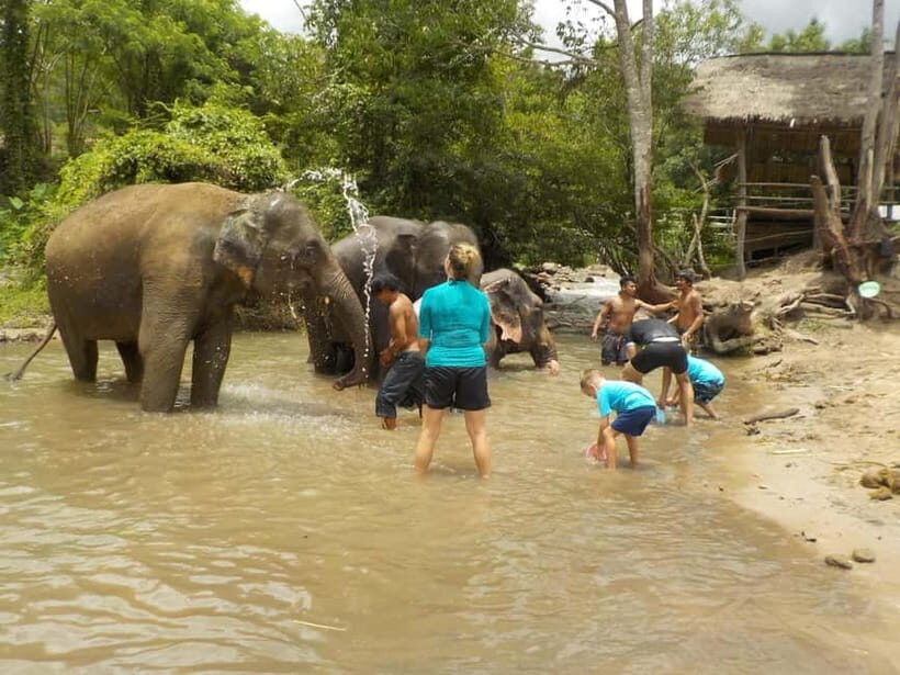 The Must-Do: Authentic Elephant & Village Life in Chiang Mai - Key Points