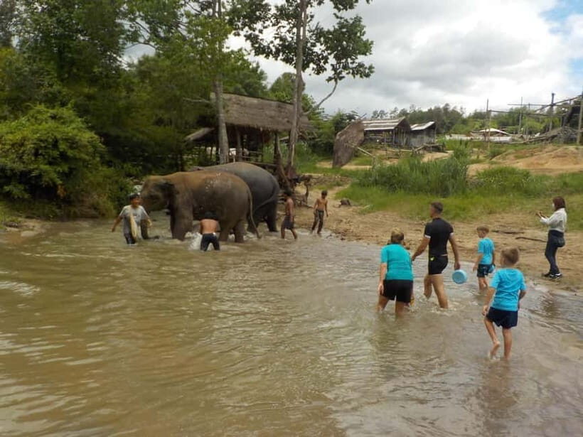 The Must-Do: Authentic Elephant & Village Life in Chiang Mai - Authenticity and Ethical Considerations