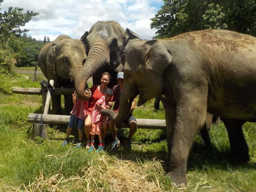 The Must-Do: Authentic Elephant & Village Life in Chiang Mai - Who Will Love This Tour?