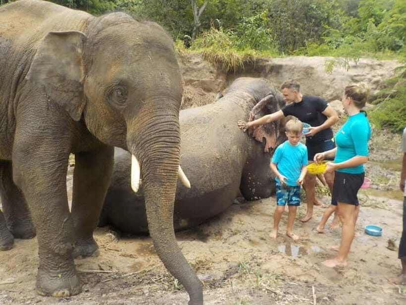 The Must-Do: Authentic Elephant & Village Life in Chiang Mai - FAQs