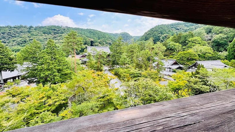 The Must-Do Kyoto Walk: Secret Zen, Scenic Wonders & Temples - Key Points