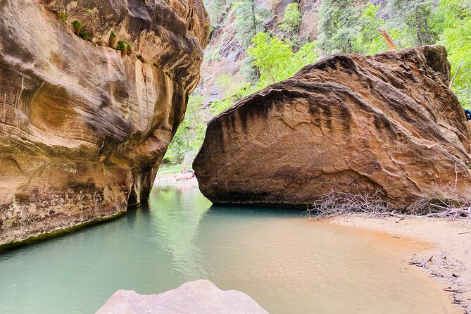The Narrows: Zion National Park Private Guided Hike - Guided Expertise