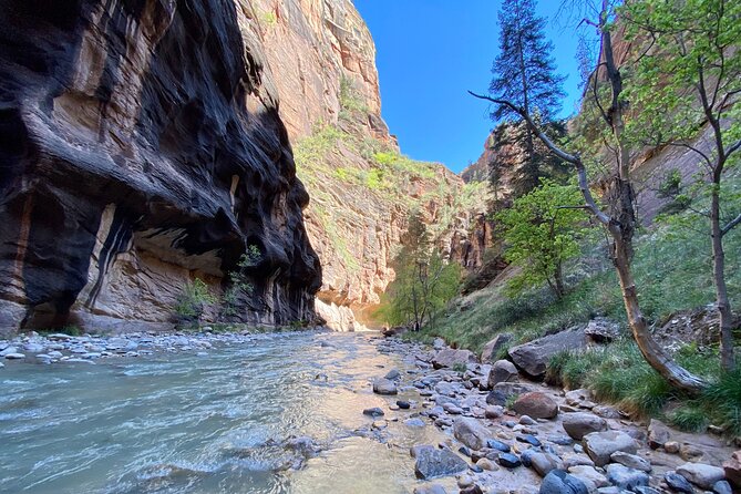 The Narrows: Zion National Park Private Guided Hike - The Scenic Route