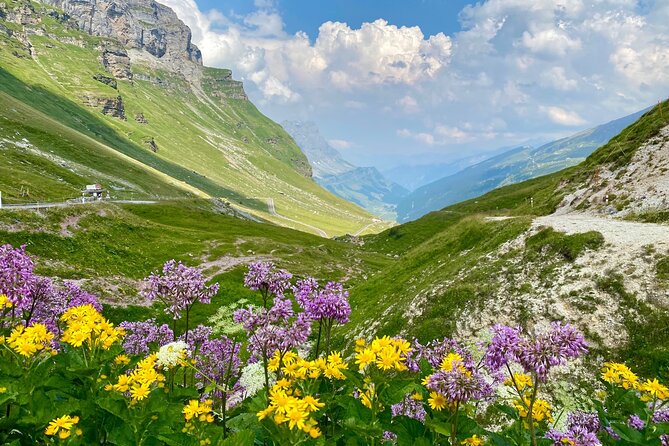 The Natural Wonders of Switzerland: Private Tour From Basel (1 Day) - Memorable Moments and Unforgettable Experiences