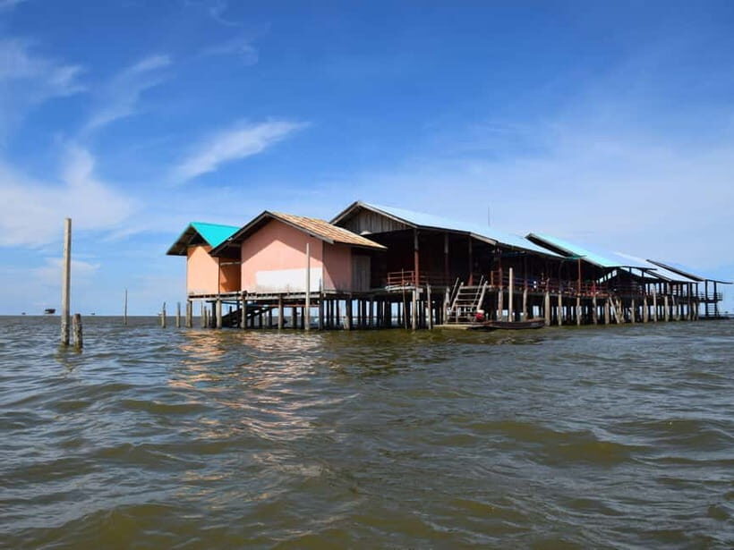 The Nature BKK: Boat to Mangrove & Train to Maeklong Market - Key Points