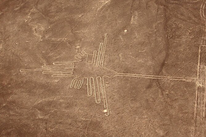 The Nazca Lines & Huacachina Oasis From Lima - Private Trip - The Nazca Lines Overflight