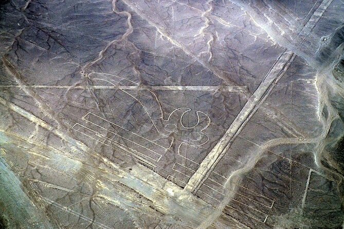 The Nazca Lines & Huacachina Oasis From Lima - Private Trip - Pricing and Booking Details