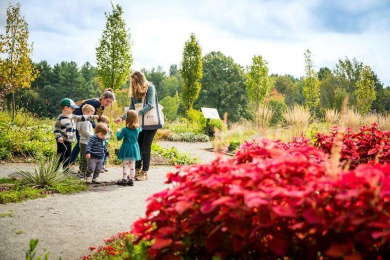The New England Botanic Garden Day Trip from Boston - Practical Details: Transportation and Timing