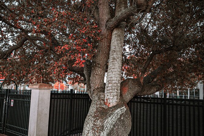 The Night Watchman Ghost Walking Tour - Additional Offerings and Future Opportunities