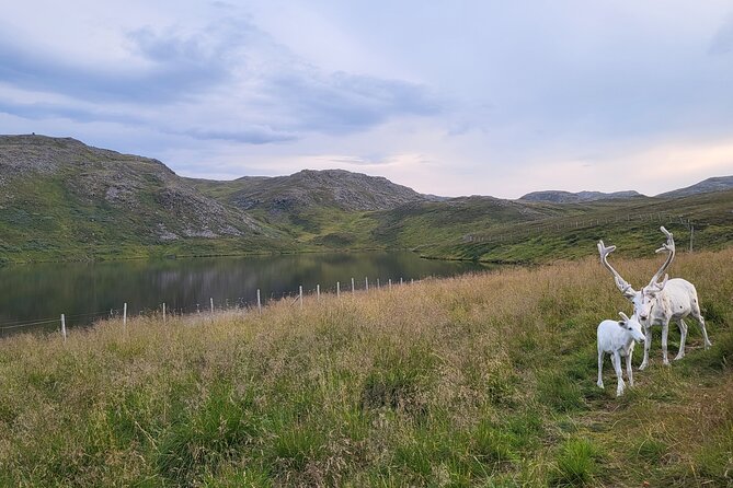The North Cape and the King Crab - About Your Stay