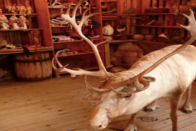 The North Cape, Reindeer and Sami Families Tour - Positive Experiences