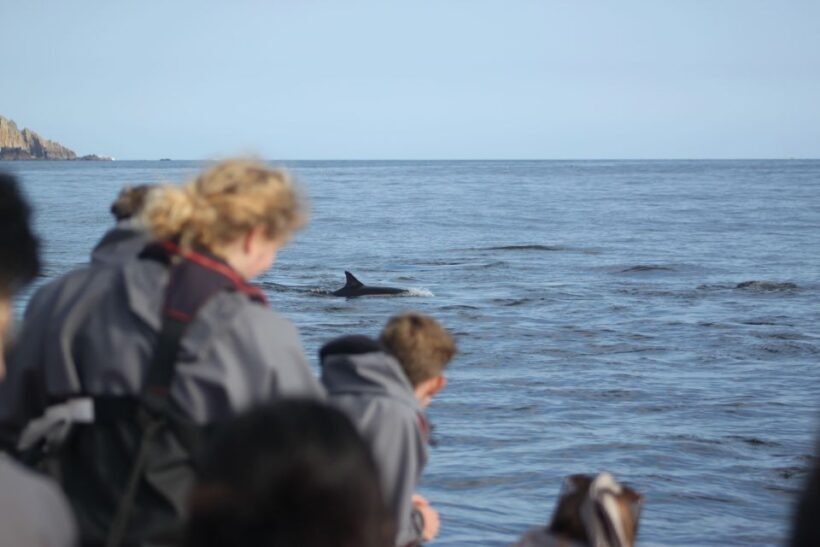 The North Coast Boat Trip Experience - The Experience and Atmosphere