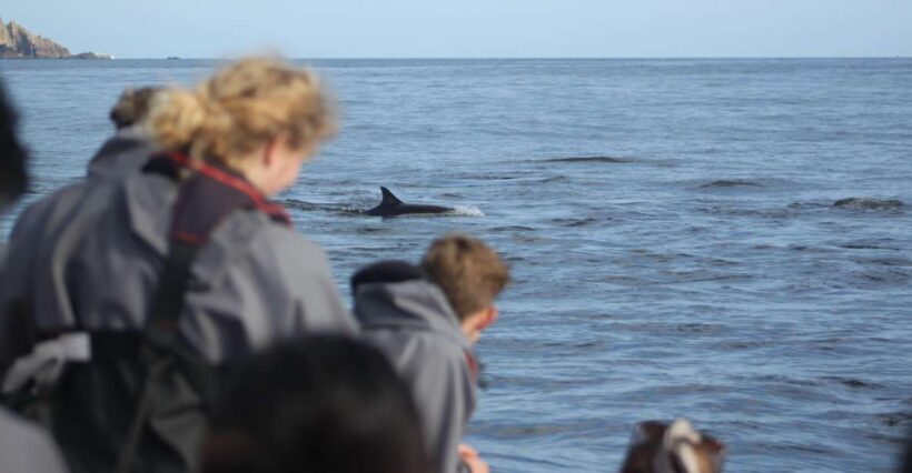 The North Coast Boat Trip Experience - The Practical Details