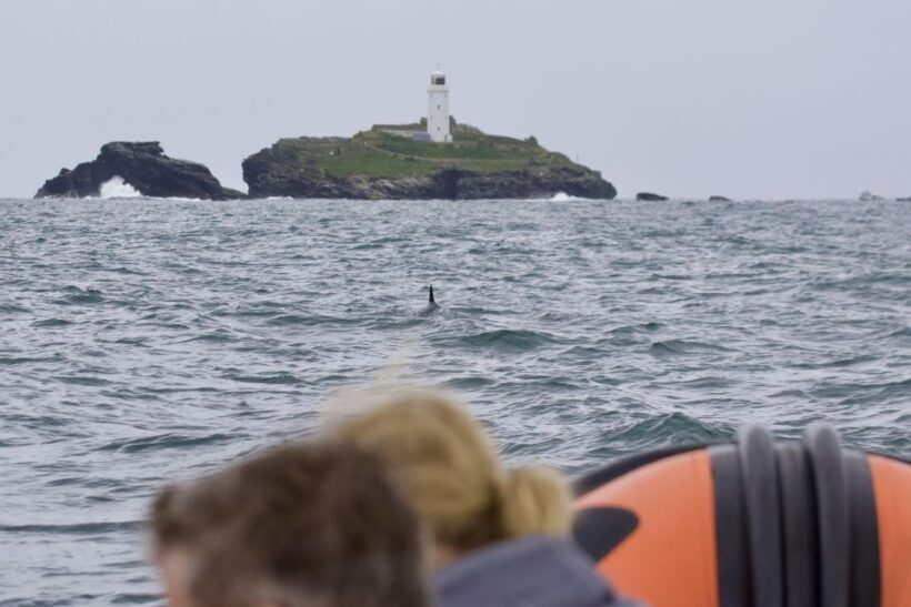 The North Coast Boat Trip Experience - The Sum Up